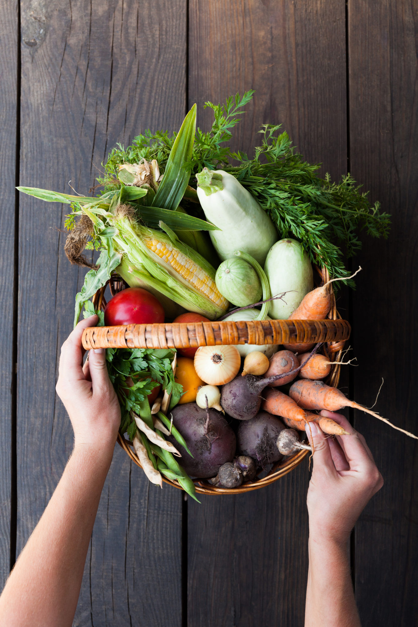 Our producers and processors - Bio Sud Ouest France